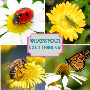 What do Ladybugs, Crickets, Butterflies, and Bees Have to do With ...