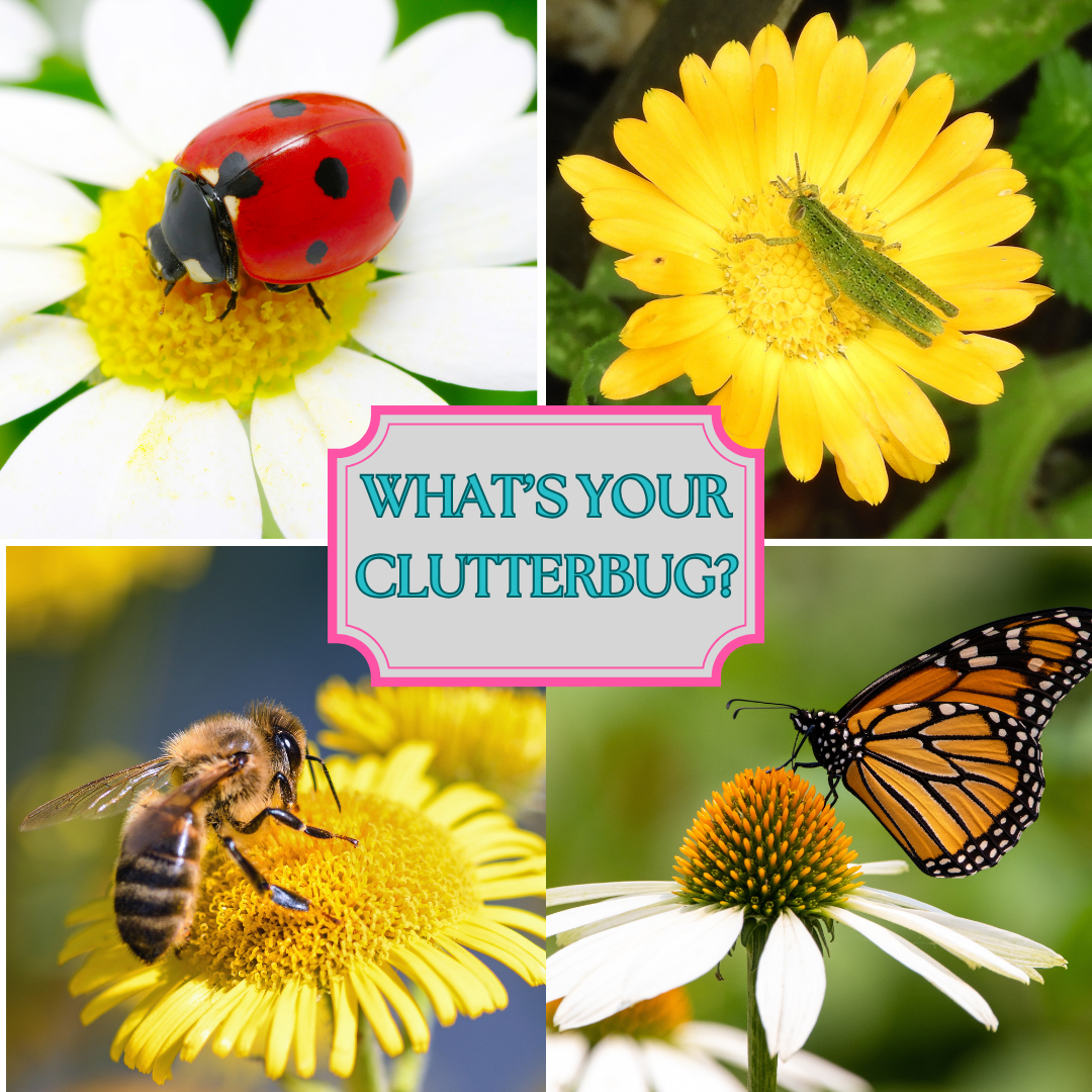 What do Ladybugs, Crickets, Butterflies, and Bees Have to do With ...